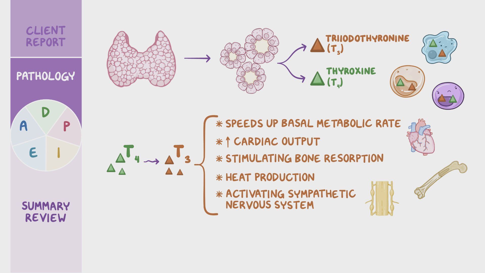 Video: Hyperthyroidism: Nursing process (ADPIE)