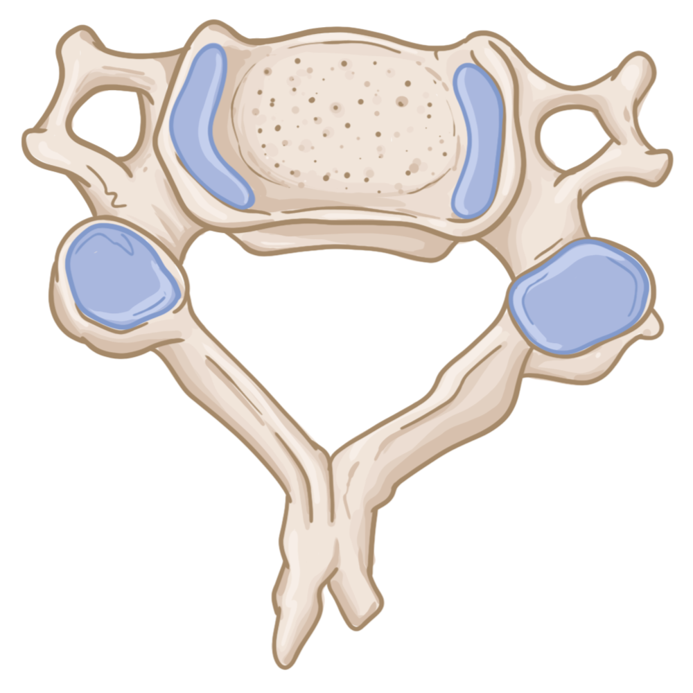 Cervical muscle energy treatment | Osmosis