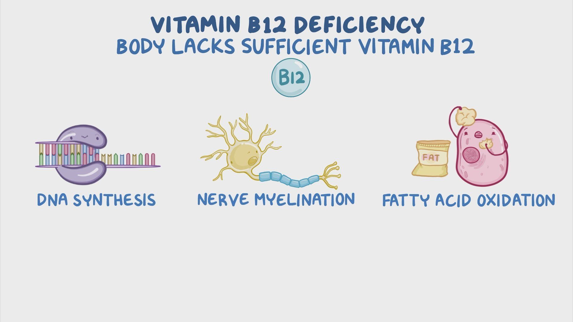 Video: Vitamin B12 deficiency: Clinical sciences | Osmosis