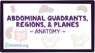 Video poster for Abdominal quadrants, regions and planes