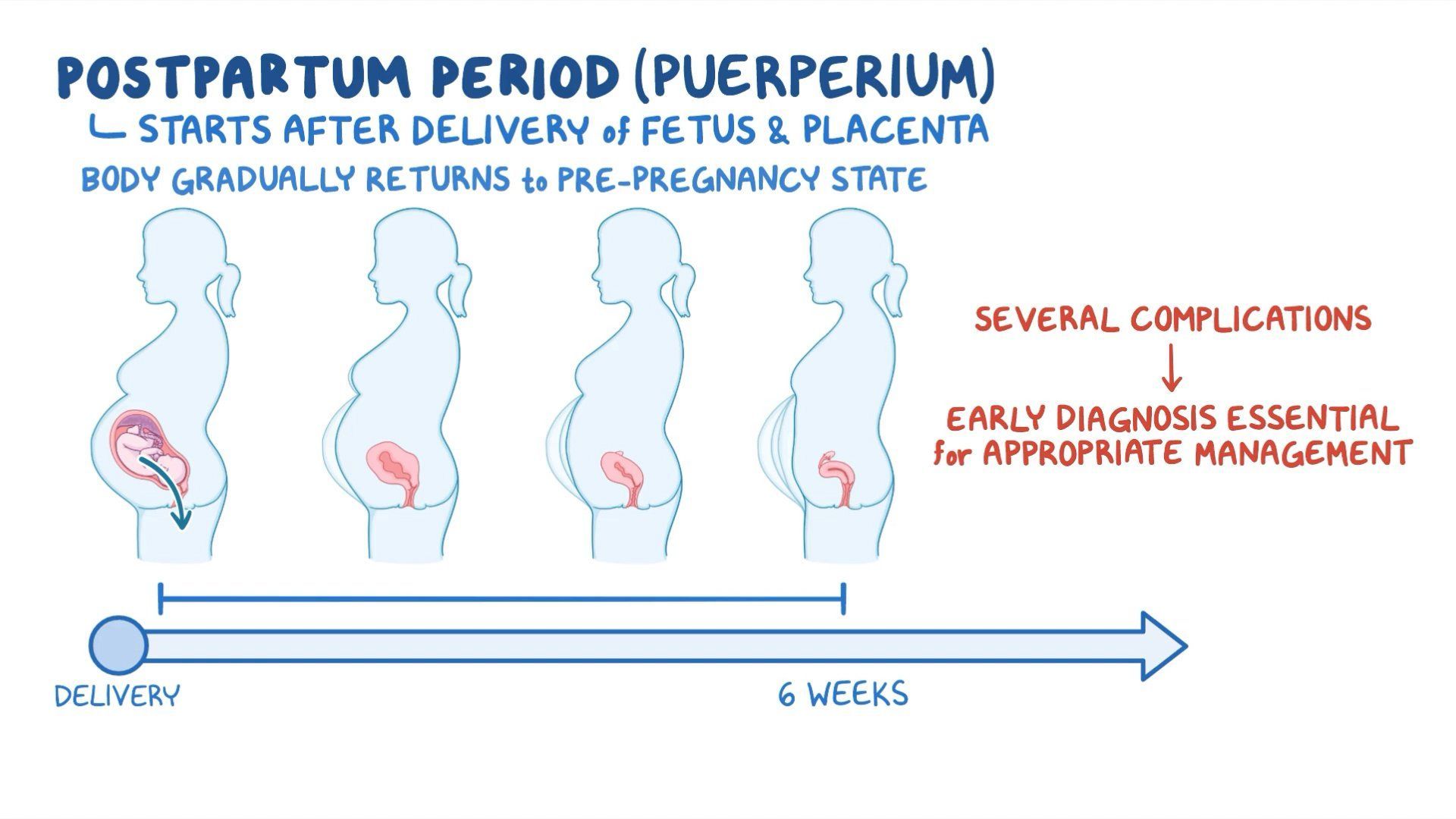 Video: Assessment - Postpartum: Nursing