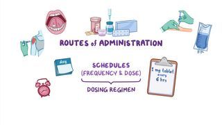 Parenteral Route: What Is It, Methods of Administration, Advantages ...