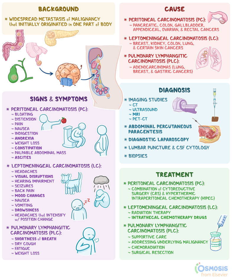 Primary Peritoneal Cancer Symptoms