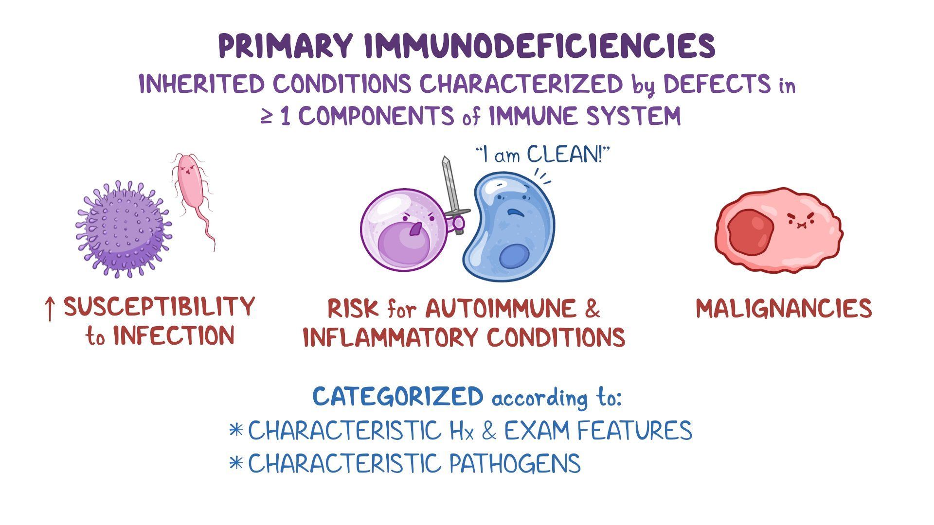 WHAT IS PRIMARY IMMUNODEFICIENCY: SYMPTOMS, CAUSES, DIAGNOSIS, AND MORE ...