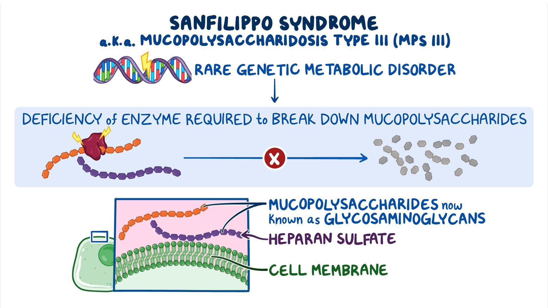 Video: Sanfilippo syndrome: Year of the Zebra