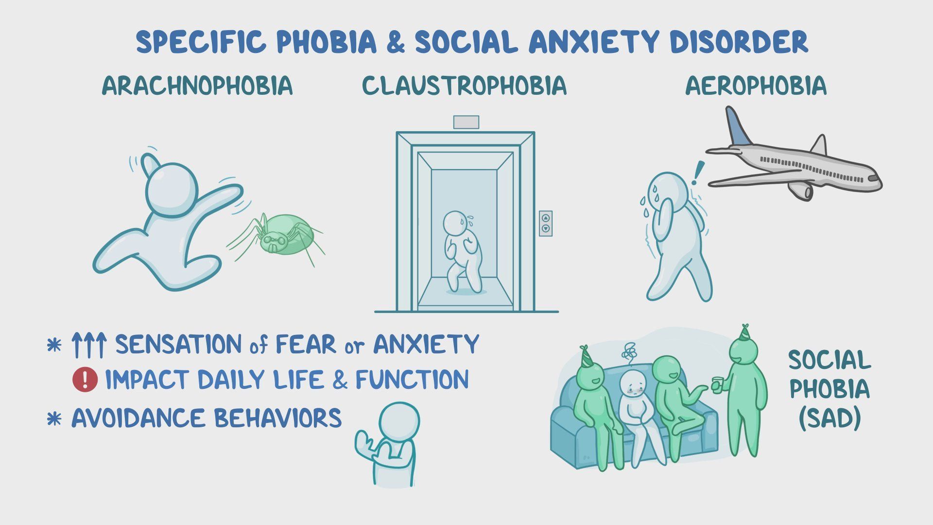 Video: Specific phobia and social anxiety disorder (social phobia ...