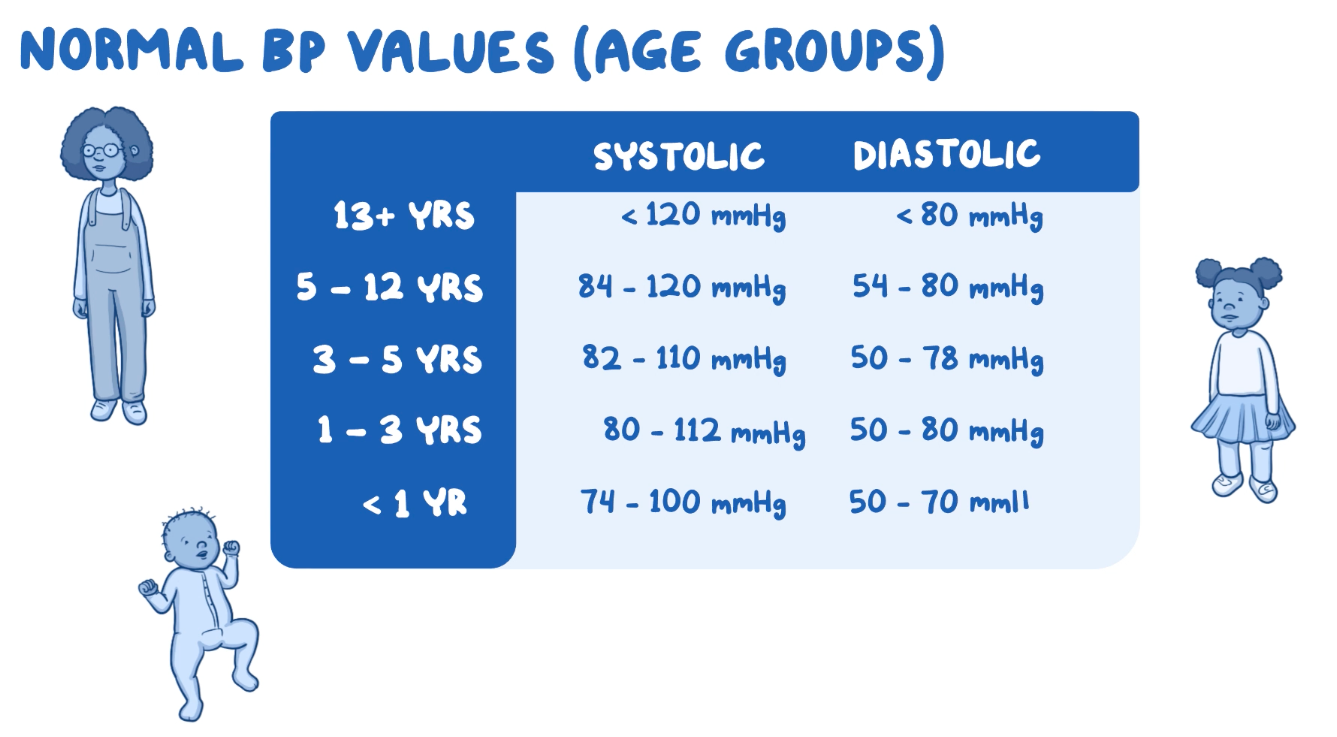 Blood Pressure Clinical Skills Notes Osmosis