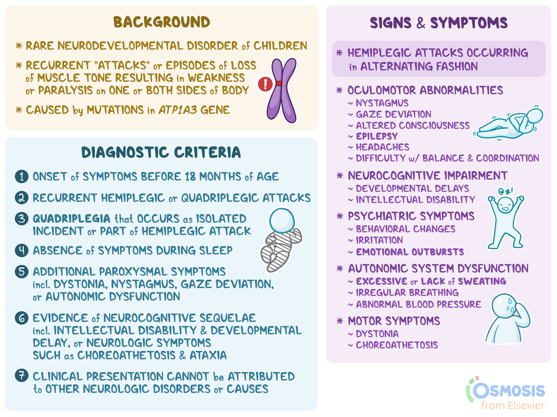 Alternating Hemiplegia of Childhood: What It Is, Causes, Signs and Sym ...