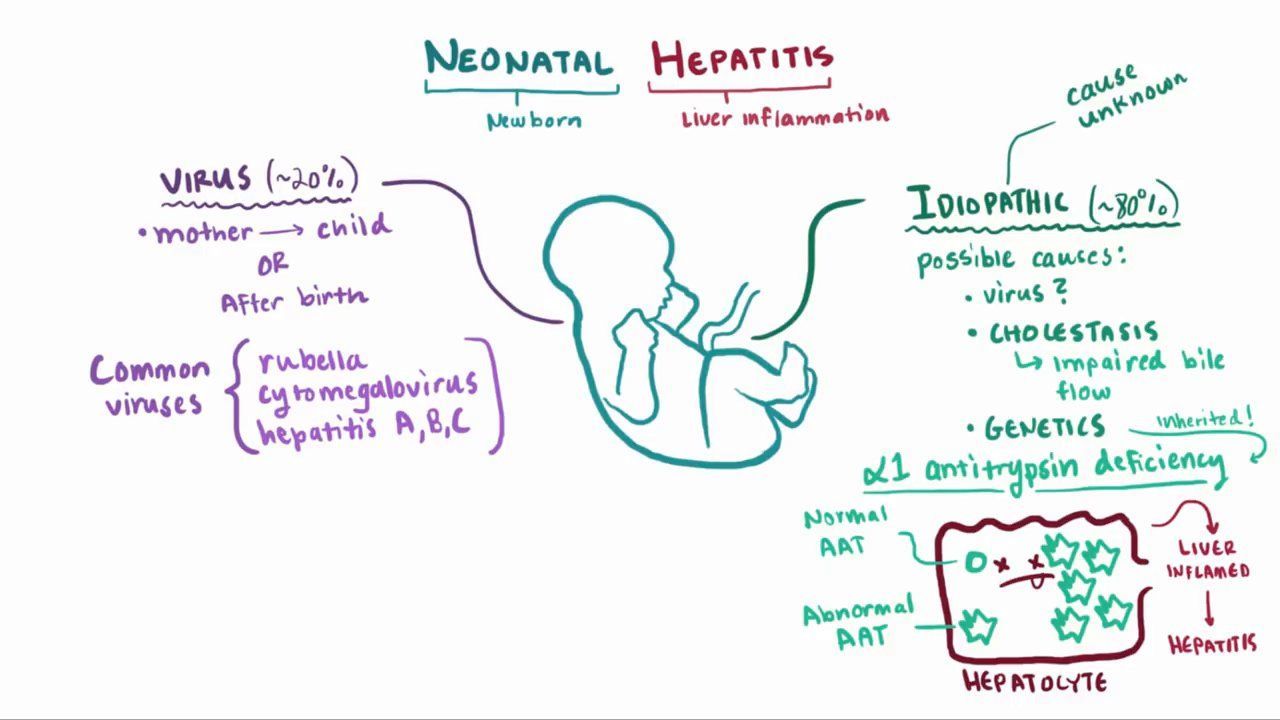 Video: Neonatal hepatitis | Osmosis
