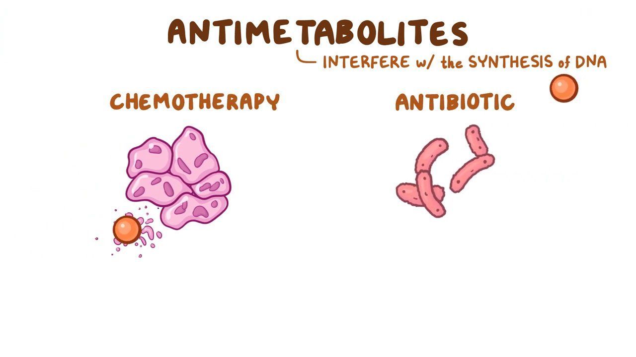 Antimetabolites: Sulfonamides and trimethoprim - Osmosis