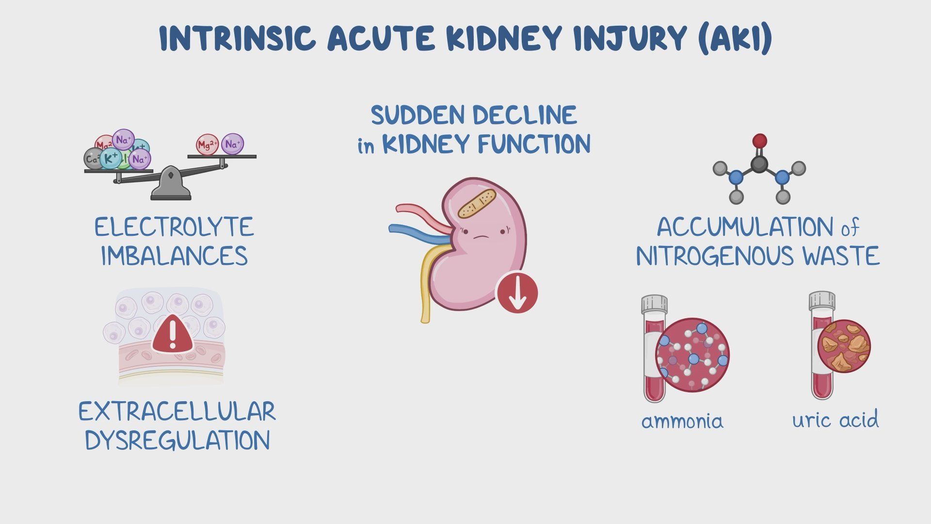 Video: Intrinsic acute kidney injury (glomerular causes): Clinical sciences | Osmosis