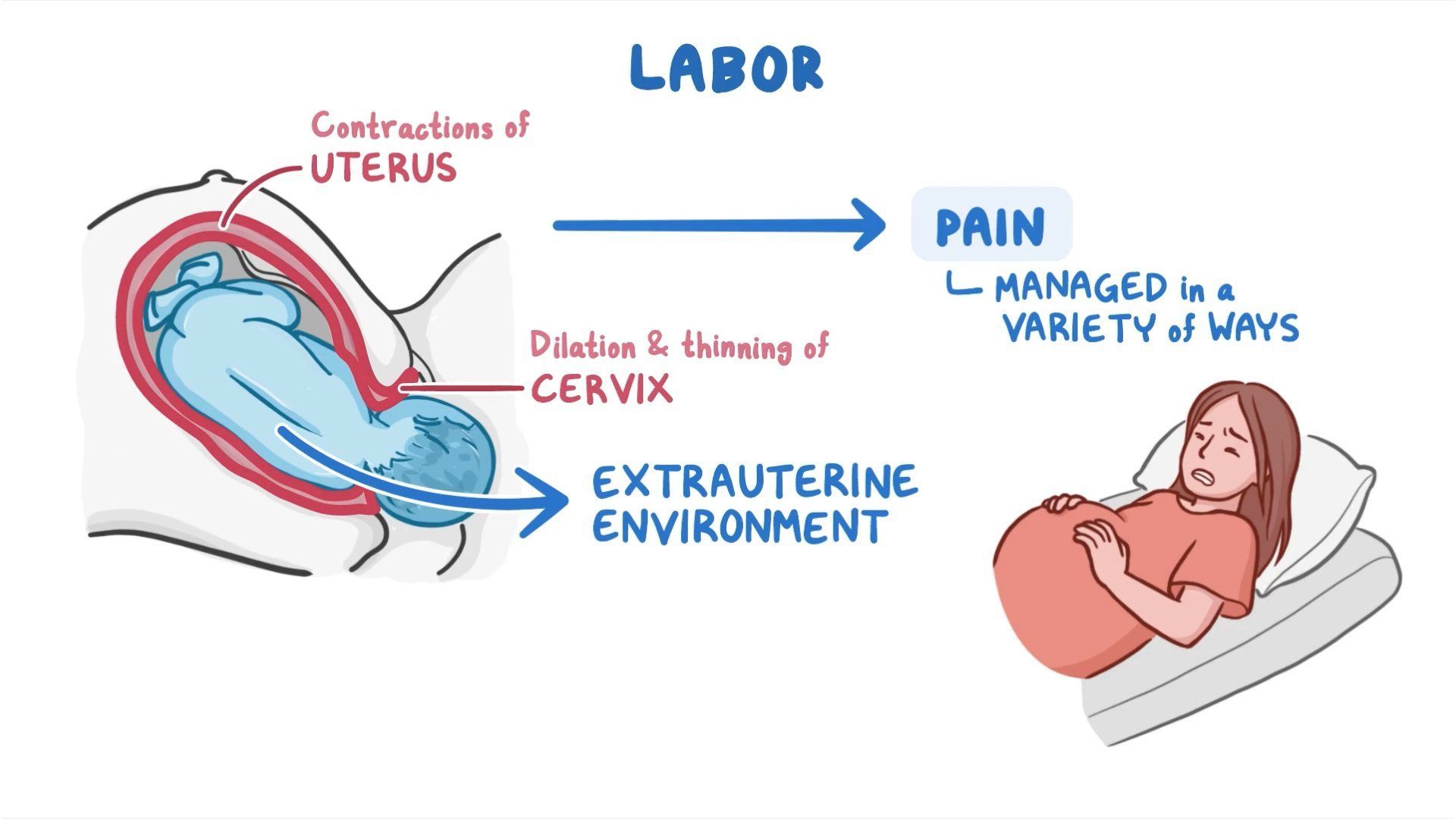 Video: Maximizing Comfort for the Laboring Woman - Nursing Care