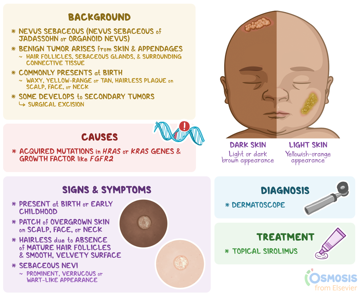 Nevus Sebaceous: What Are They, Causes, Signs and Symptoms, and More ...