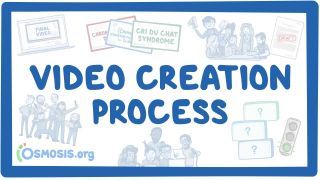 Video poster for Video creation process