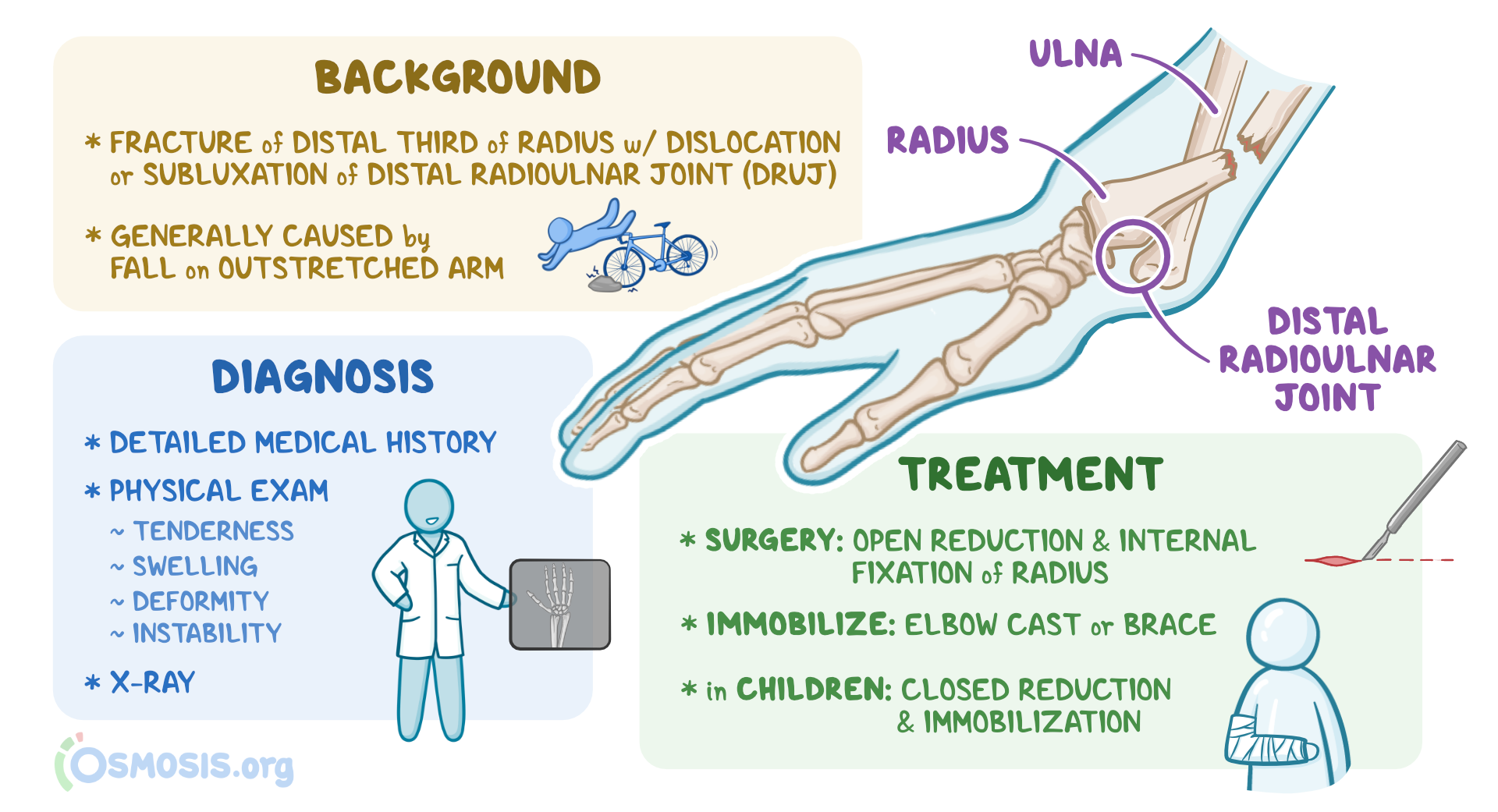 Distal Ulna Fracture What Is It How Is It Managed And 49 OFF Distal Ulna Fracture What Is It How Is It Managed And 49 OFF
