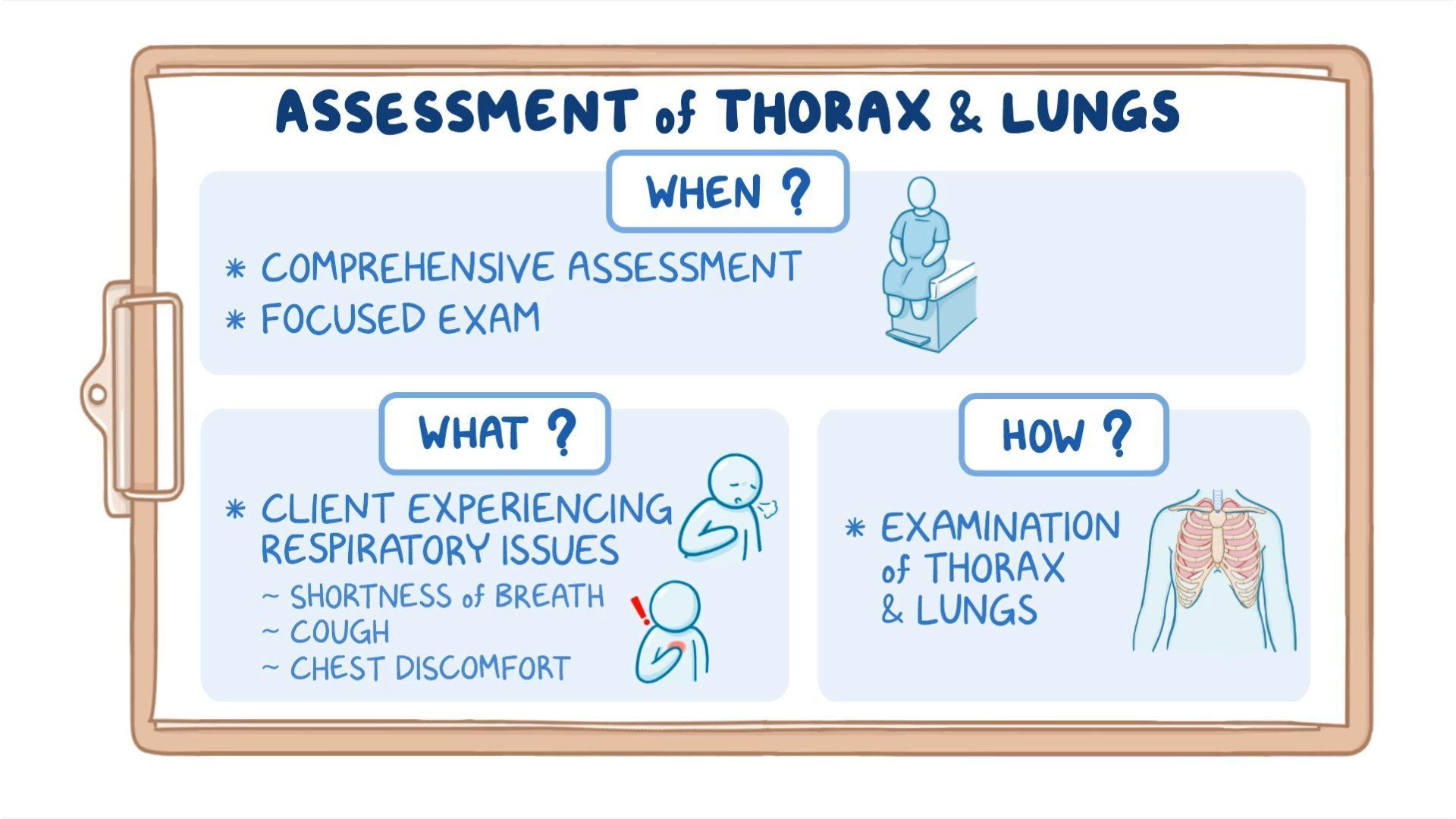 Video: Physical assessment - Thorax and lungs: Nursing | Osmosis