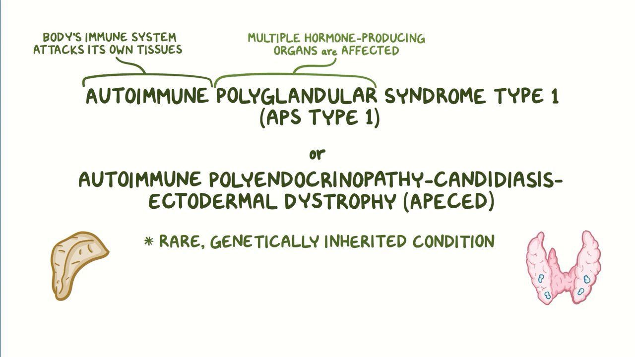 48％割引【人気ショップが最安値挑戦！】 Aps-1 トイガン ミリタリー-OTA.ON.ARENA.NE.JP