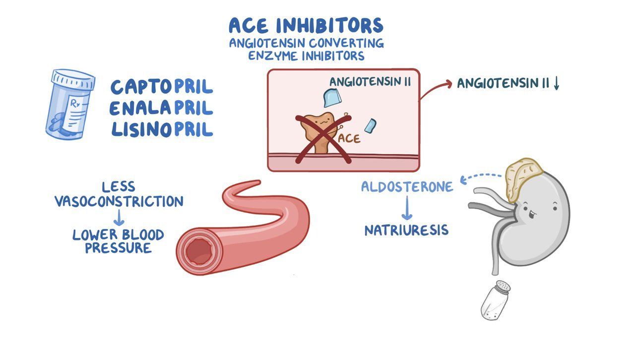 ACE Inhibitors ARBs And Direct Renin Inhibitors Osmosis