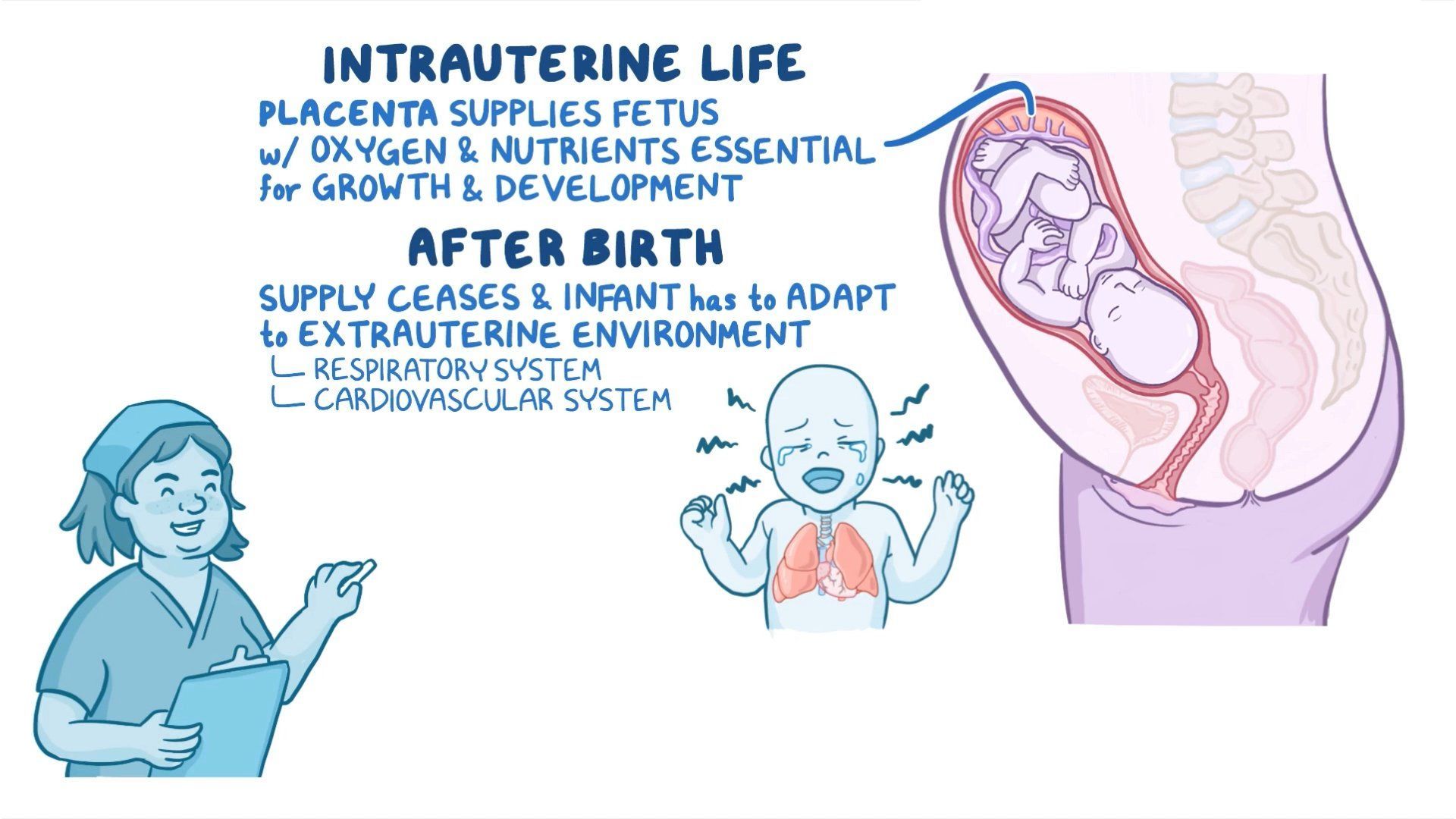 Video: Physiologic and Behavioral Adaptations of the Newborn | Osmosis