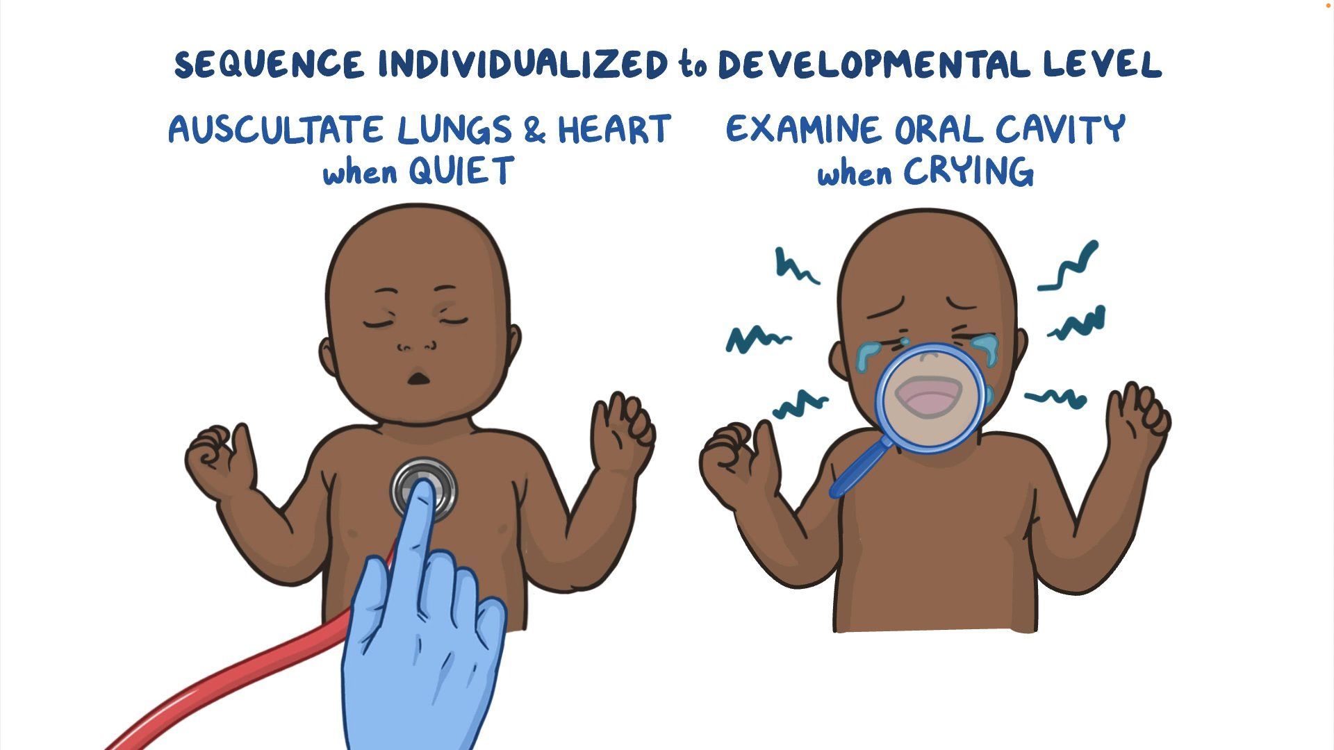Video: Assessment Sequence and Techniques in the Pediatric Patient ...