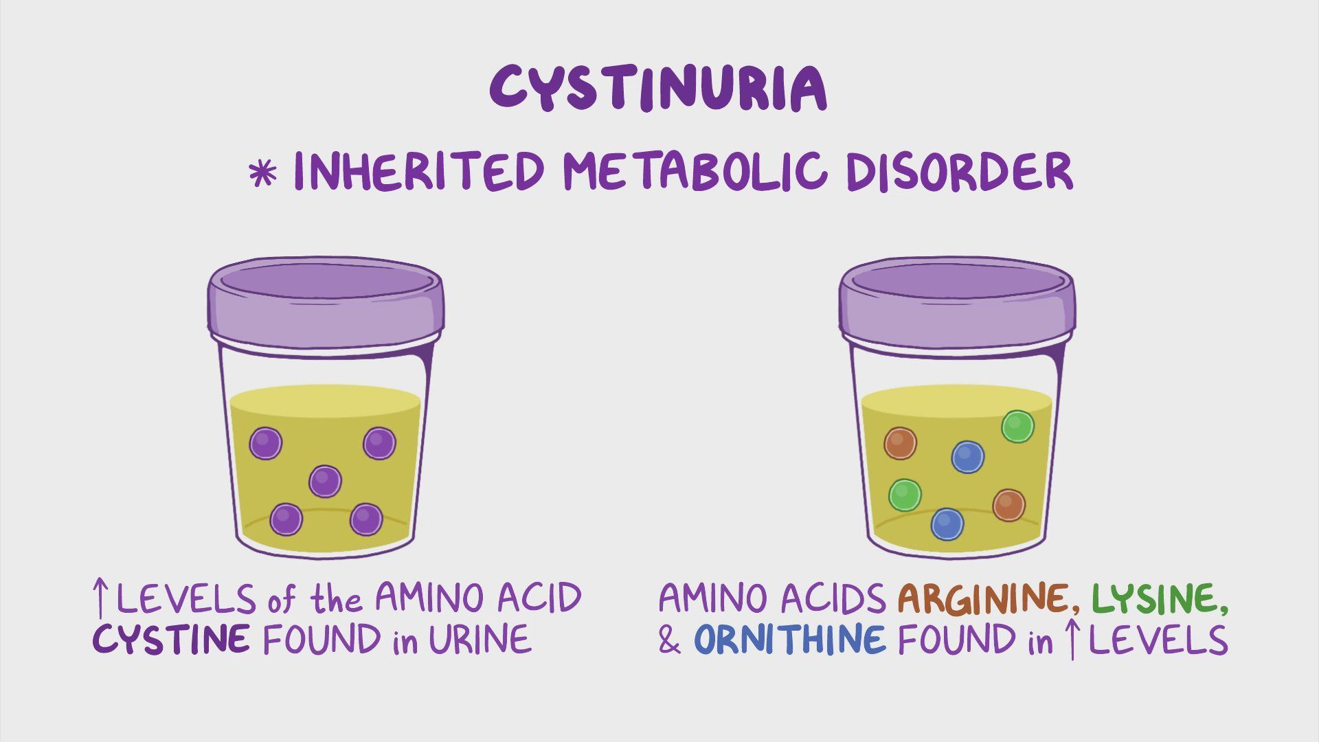 Video: Cystinuria (NORD) | Osmosis
