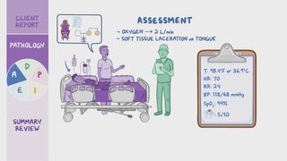 Dravet Syndrome: What It Is, Causes, Treatment, and More | Osmosis