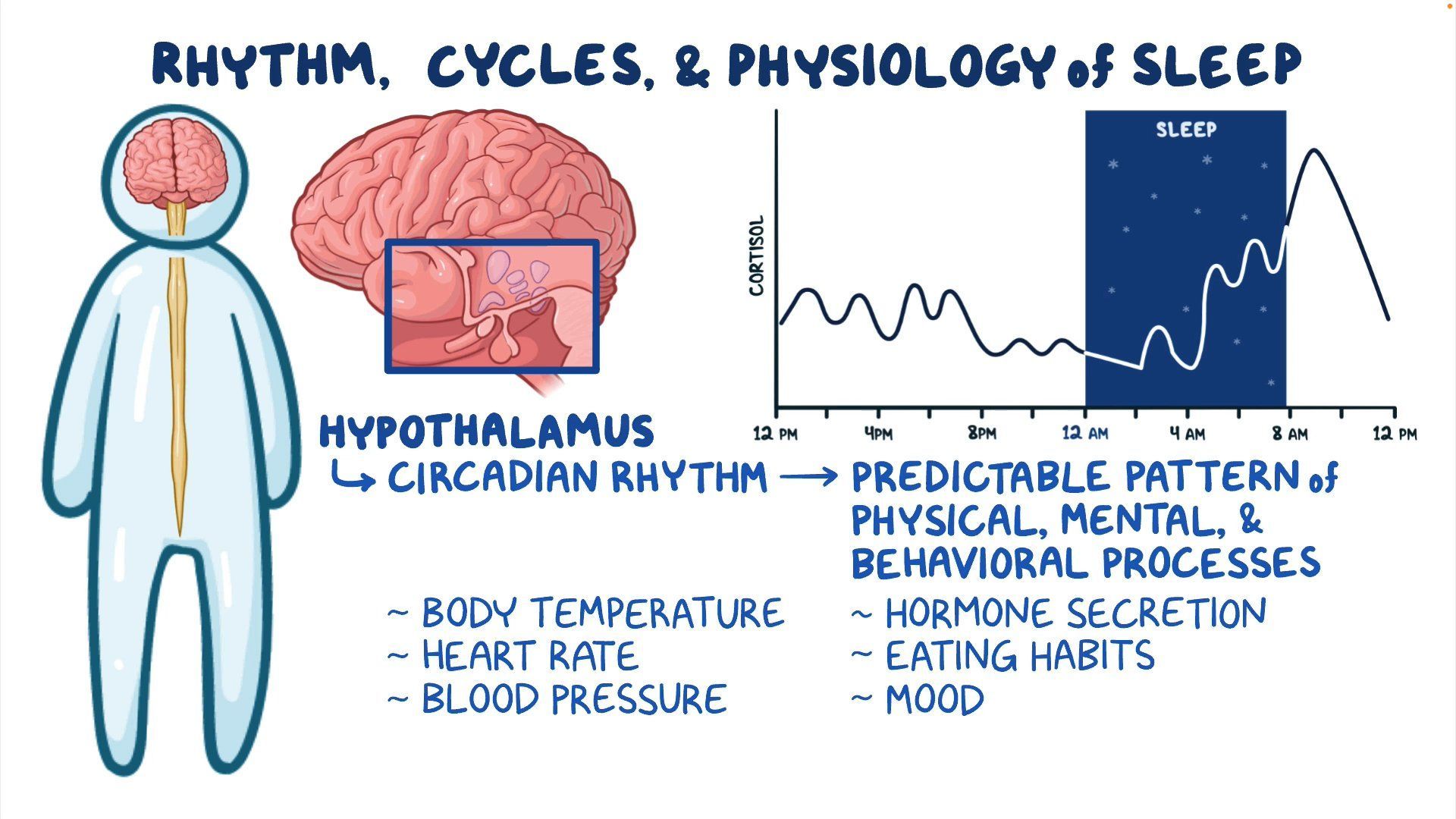 Video: Sleep - Overview: Nursing | Osmosis
