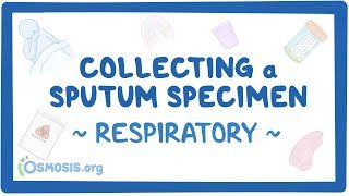 Video poster for Respiratory: Collecting a sputum specimen