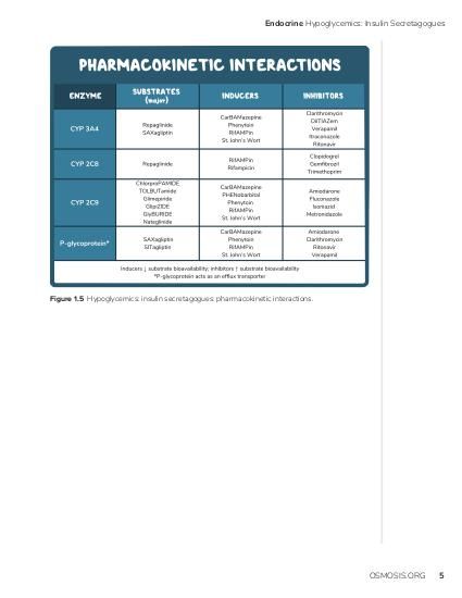 Hypoglycemics: Insulin secretagogues | Osmosis