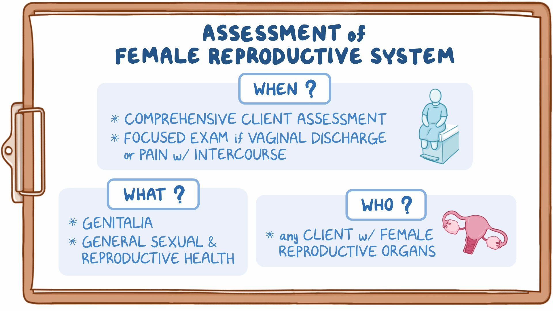 Video: Female Genitalia: Examination and Findings | Osmosis