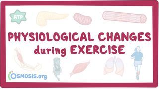 Video poster for Physiological changes during exercise
