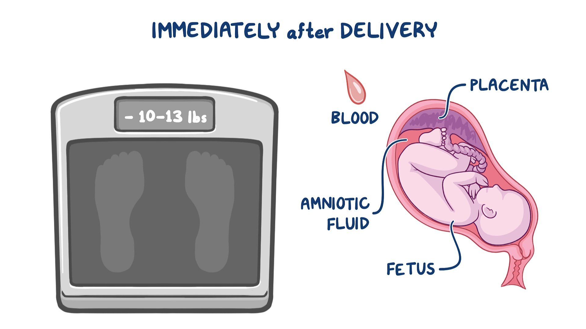 Video: Postpartum Physiologic Changes and Nursing Care | Osmosis