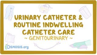 Video poster for Genitourinary: Urinary catheters and routine ...