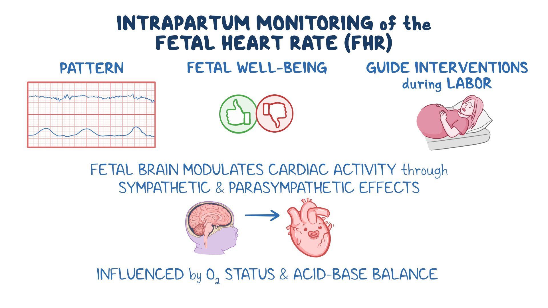 Video: Intrapartum fetal heart rate monitoring: Clinical sciences | Osmosis