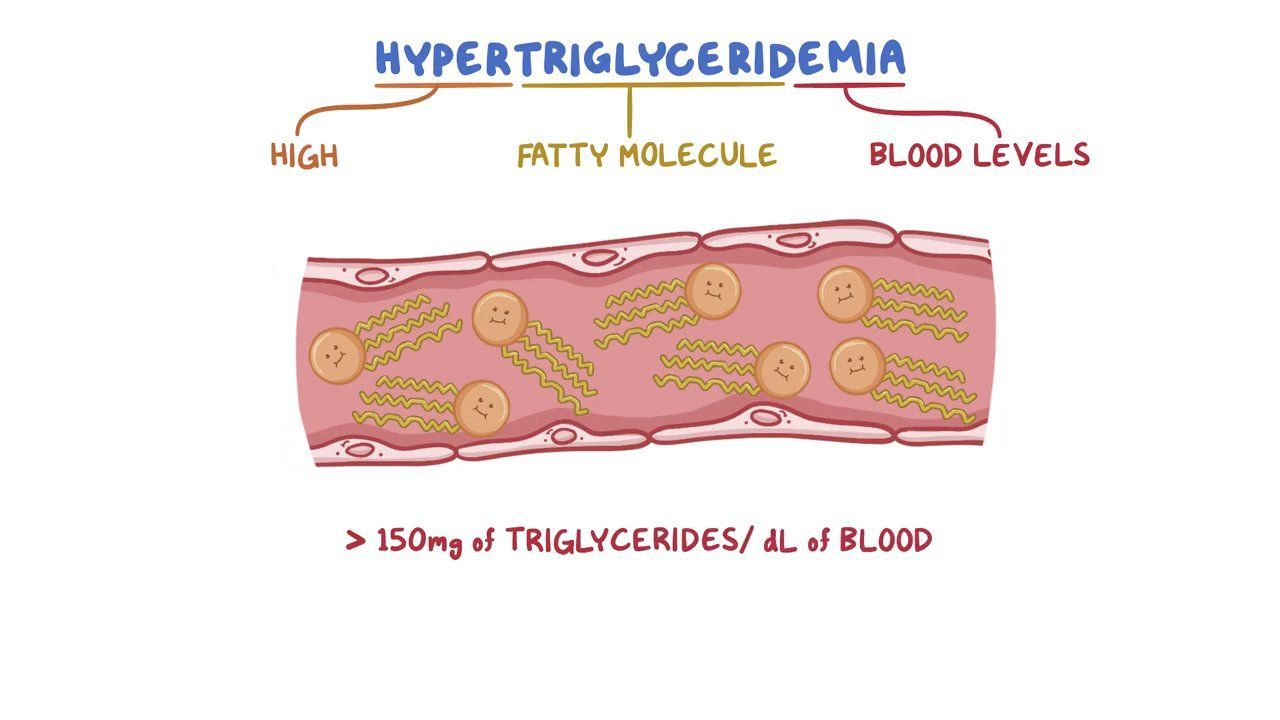 Video: Hypertriglyceridemia | Osmosis