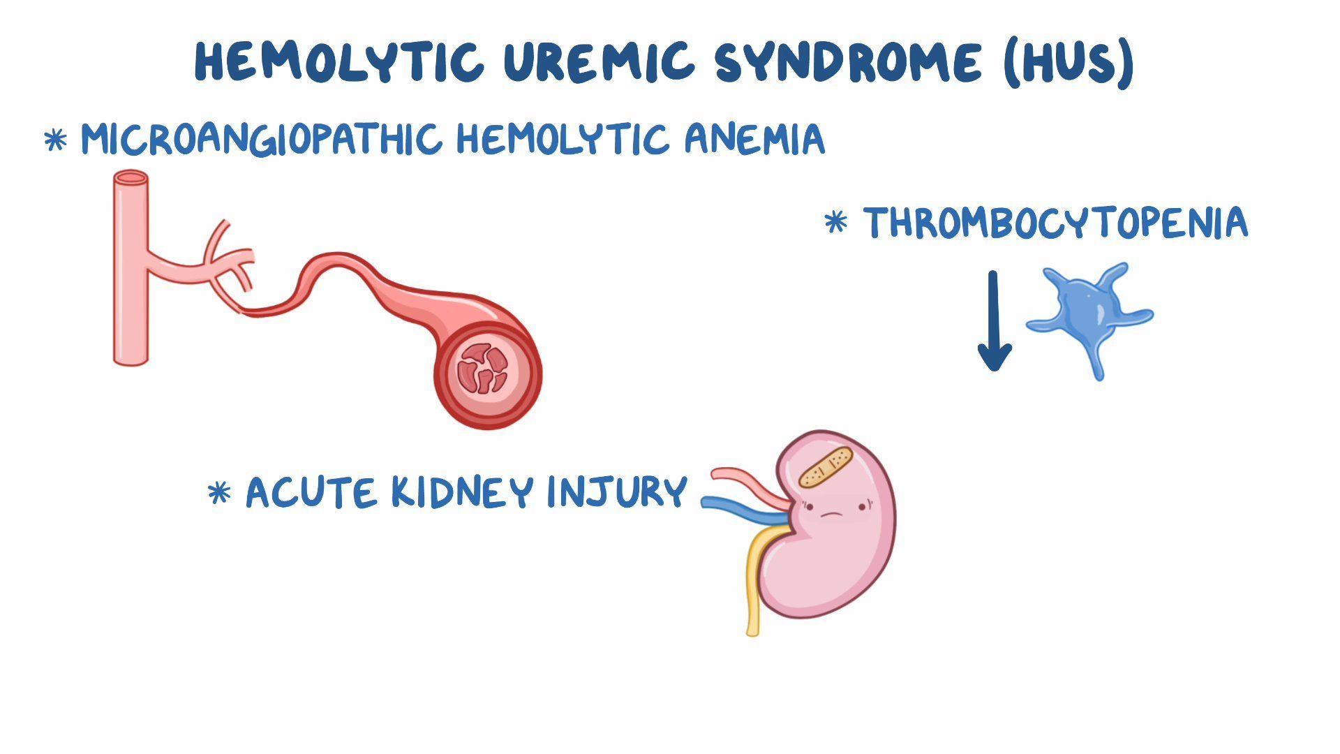 Video: Hemolytic uremic syndrome: Nursing | Osmosis
