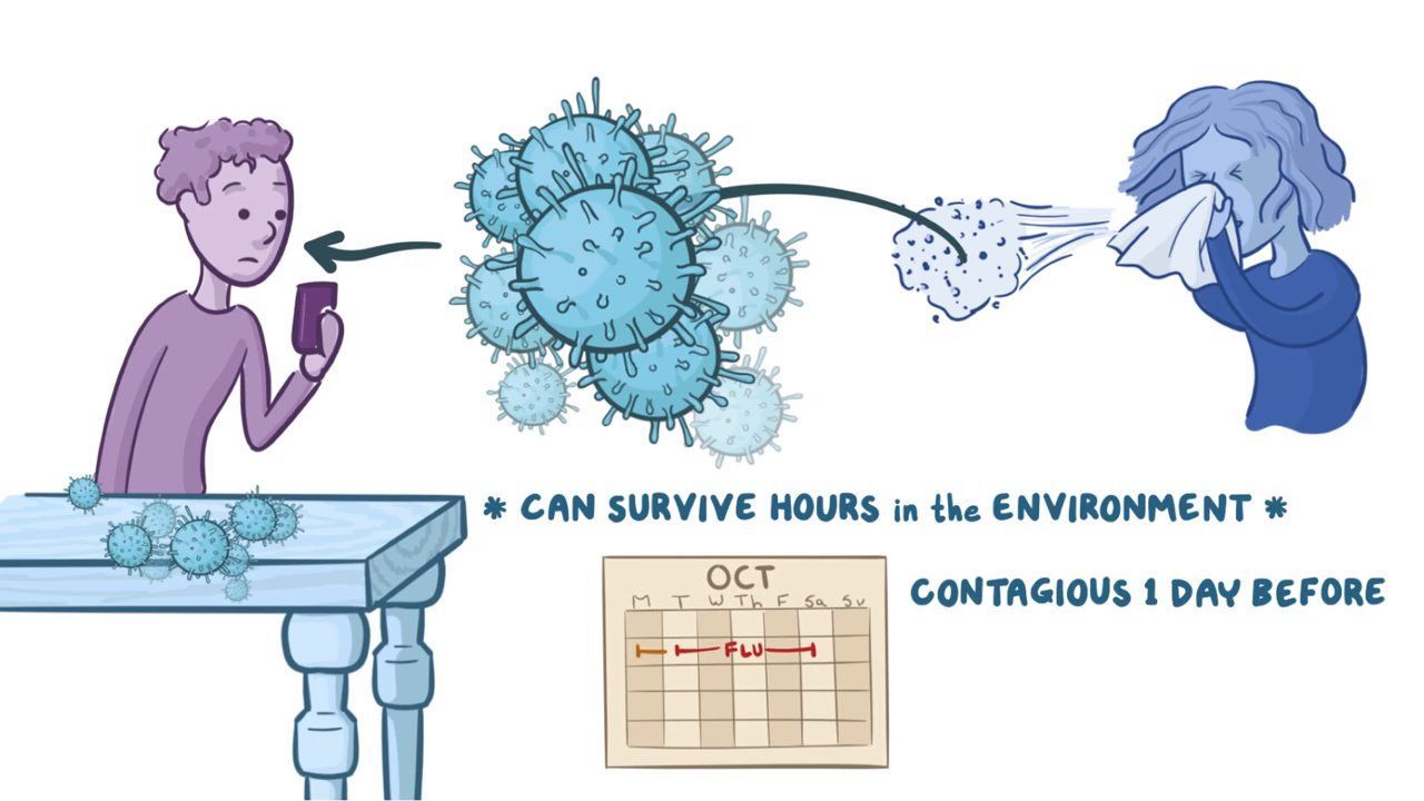 Video: The flu vaccine: Information for patients and families | Osmosis