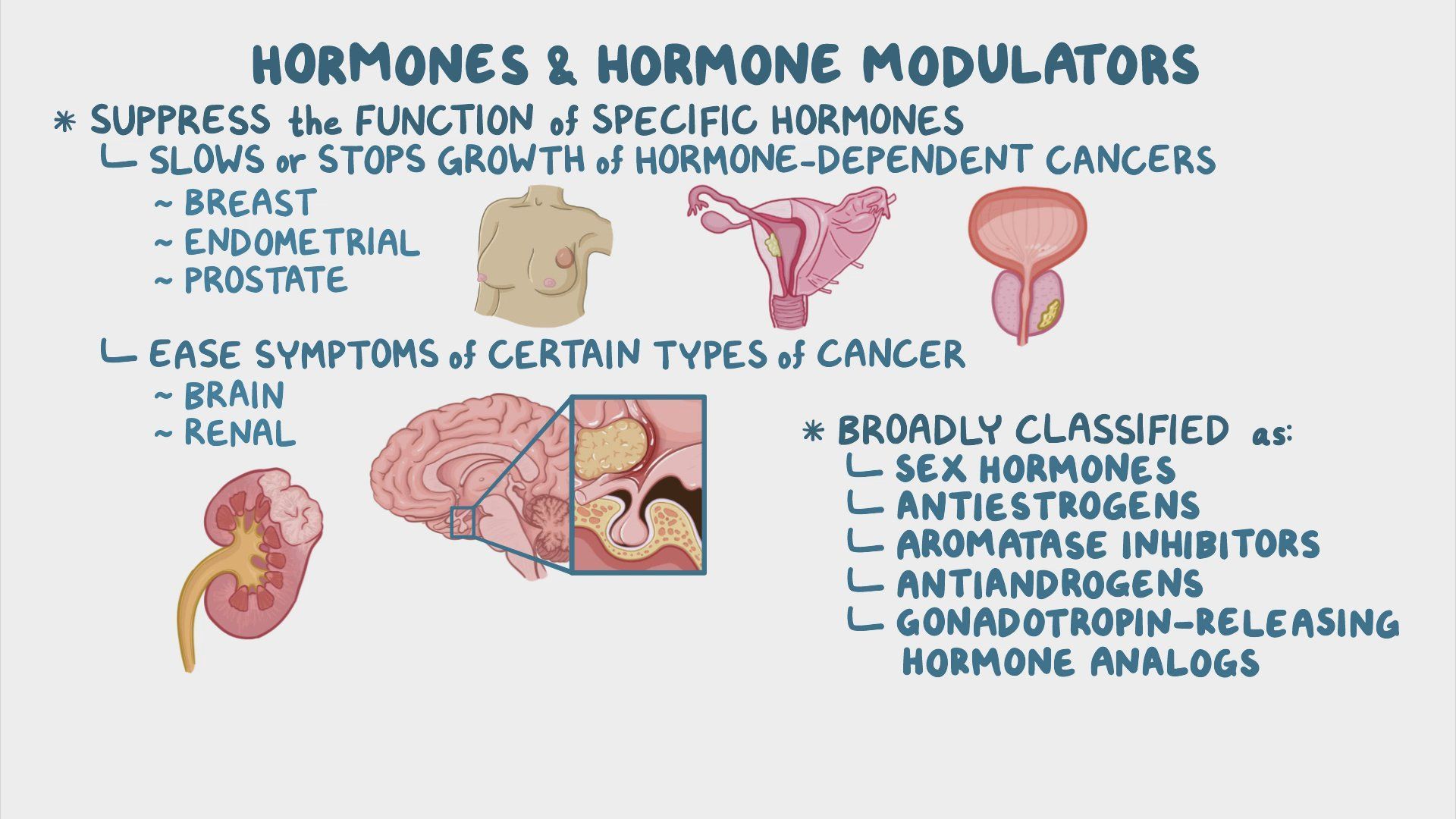 Video: Hormones and hormone modulators for cancer: Nursing pharmacology ...
