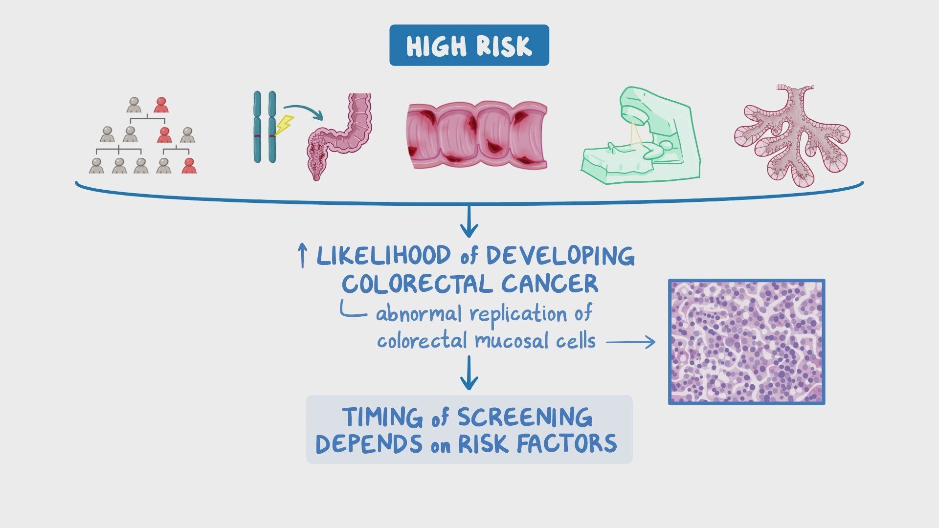 Video: Colorectal cancer screening: Clinical sciences | Osmosis