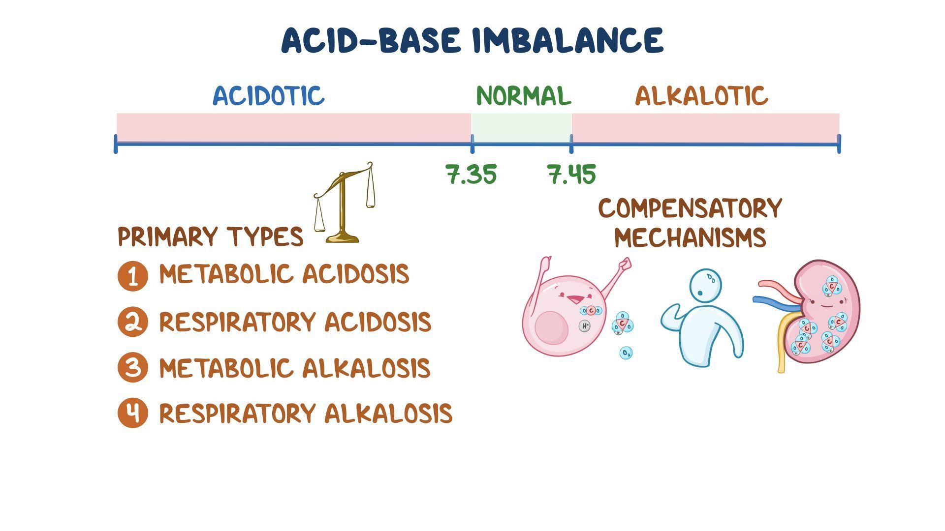 Video: Acid-base imbalance: Nursing pathophysiology | Osmosis