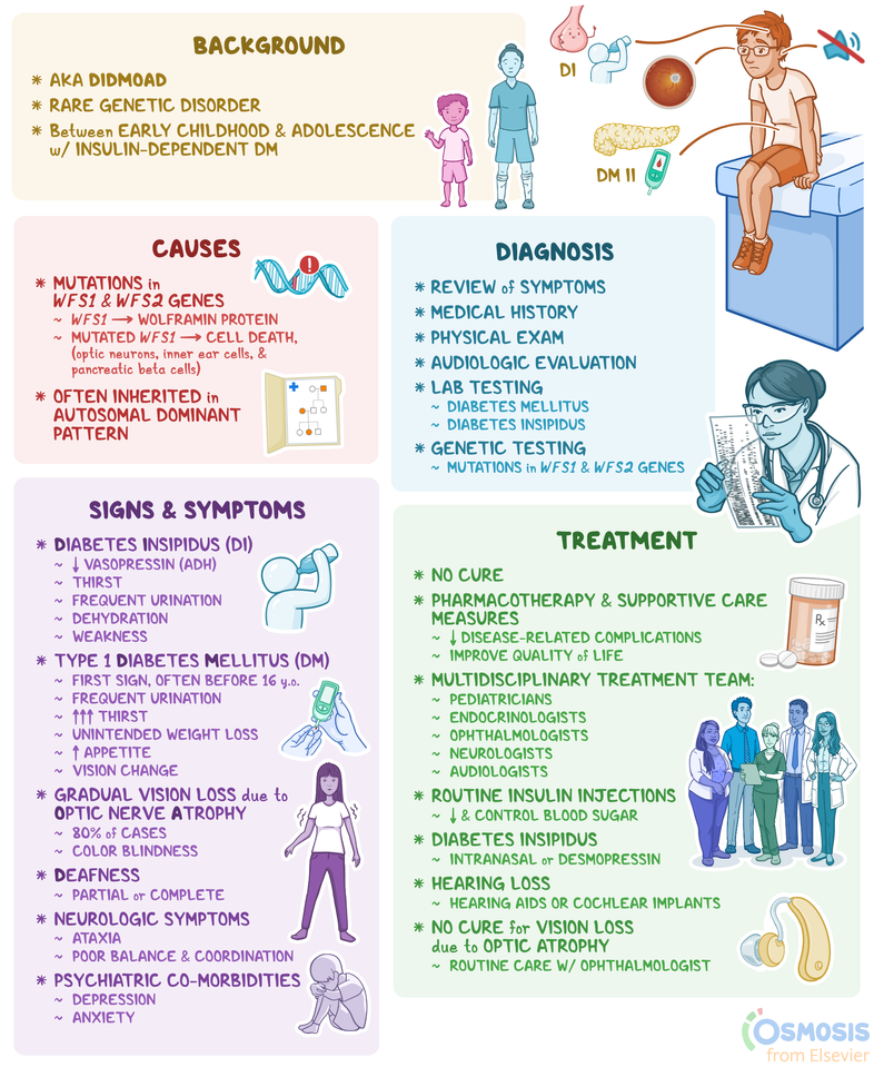 Wolfram Syndrome: What It Is, Causes, Signs and Symptoms, Treatment ...