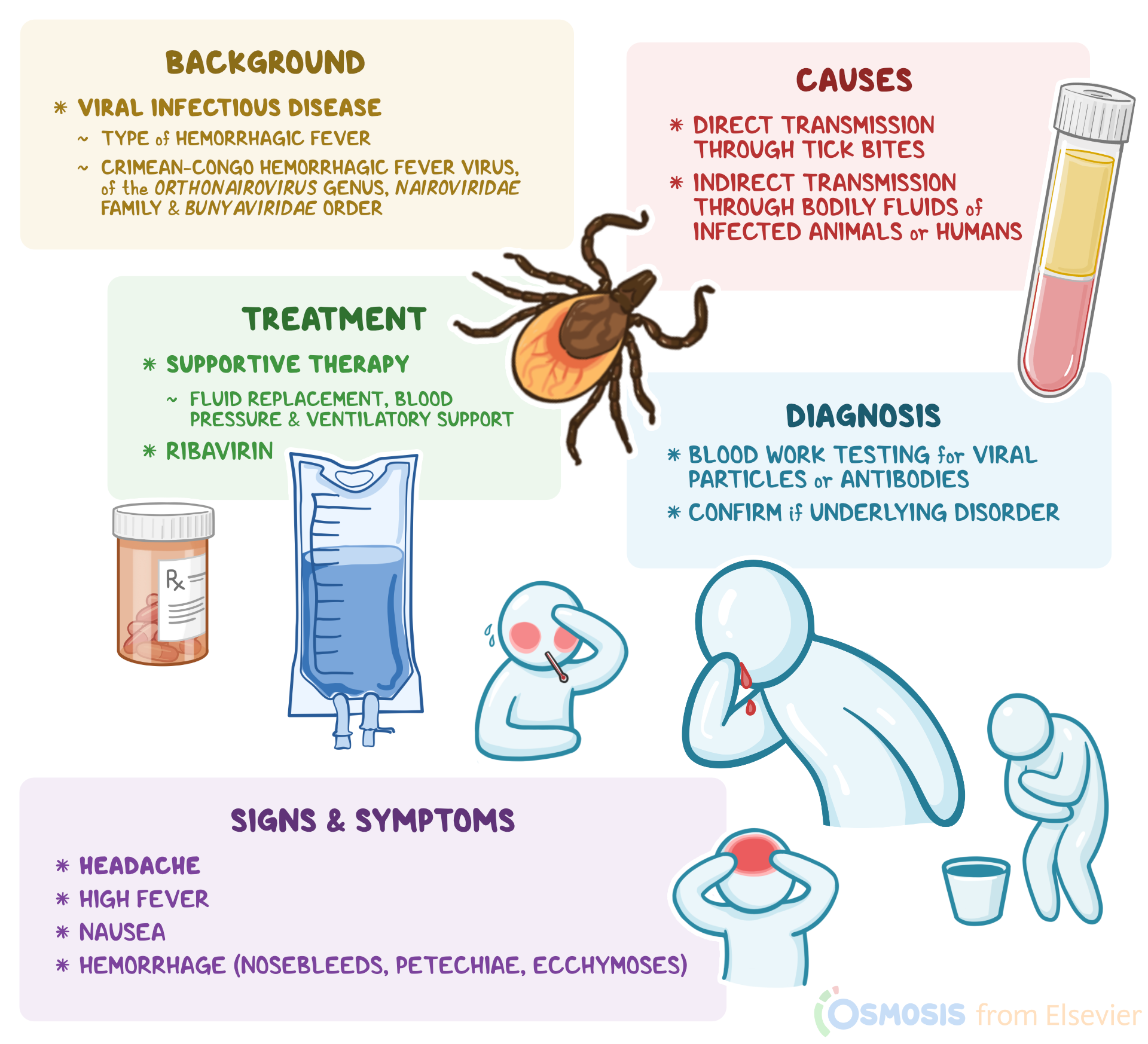 Crimean-Congo Hemorrhagic Fever: What Is It, Causes, Spread, Signs ...