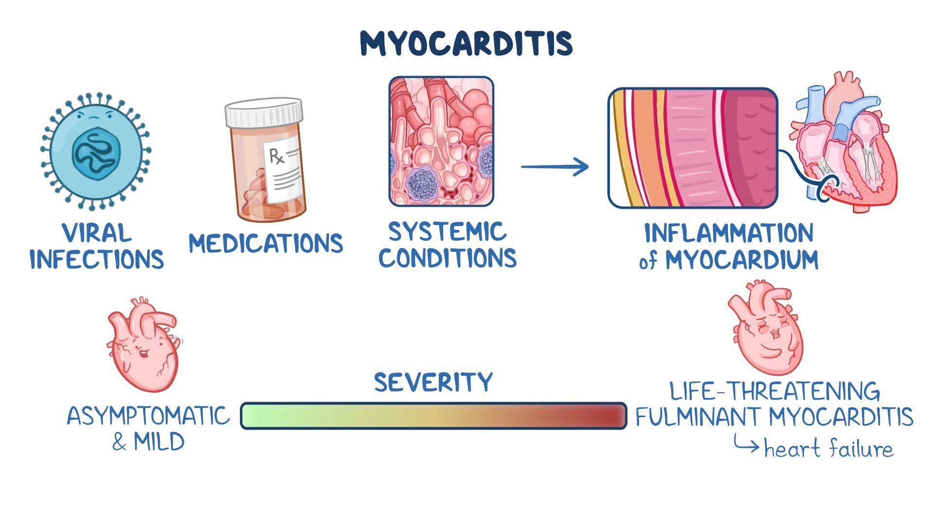 Video: Myocarditis: Clinical sciences | Osmosis