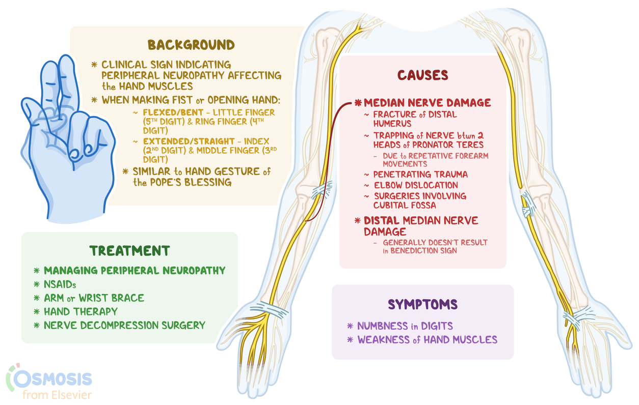Popes Blessing Median Nerve