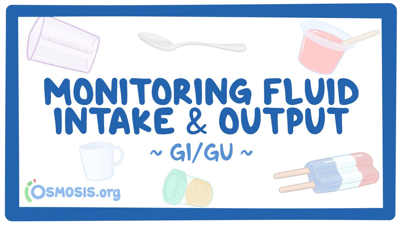Nursing Intake And Output Intake And Output Chart | PPT