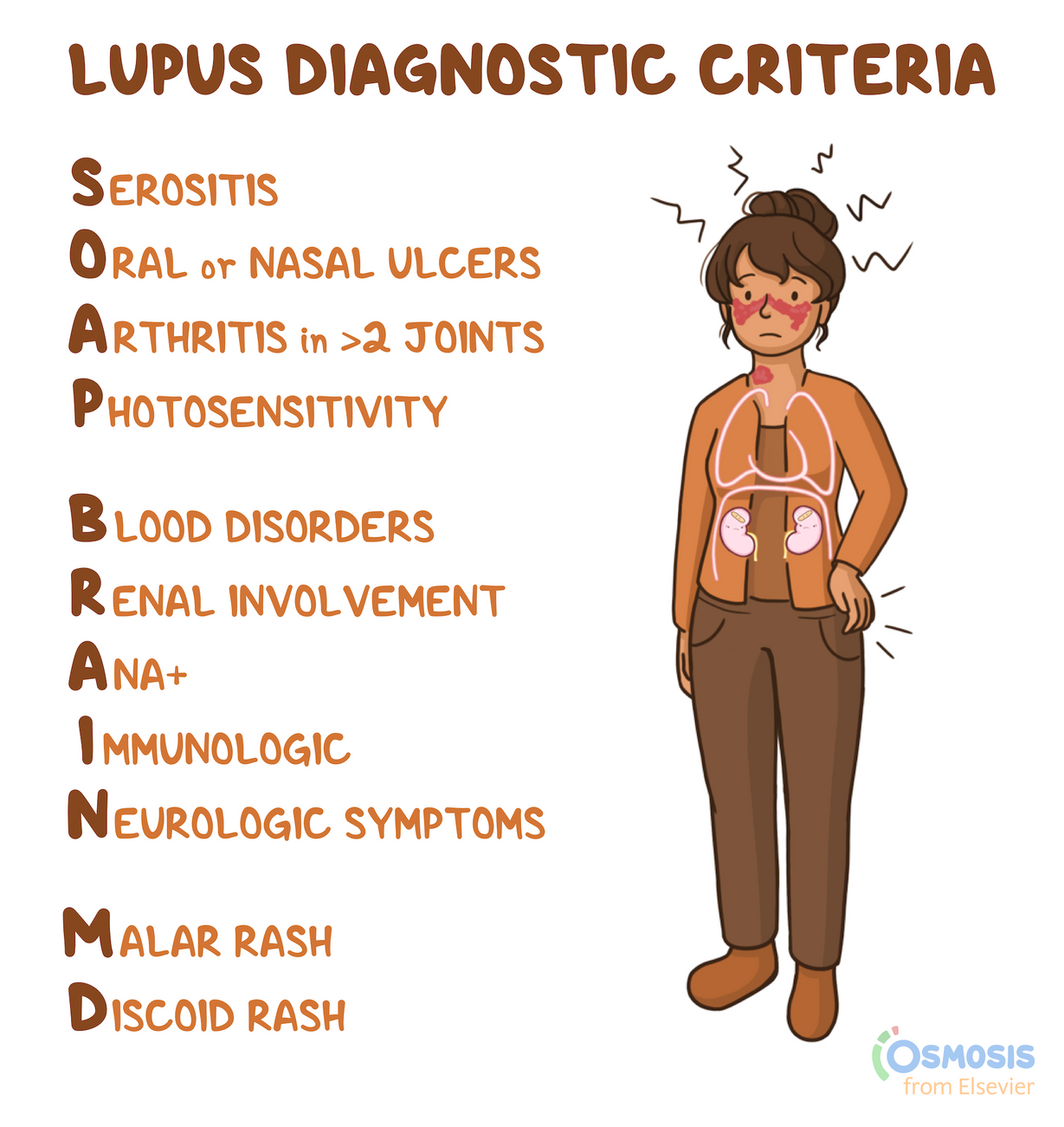 SOAP BRAIN MD: Lupus Diagnostic Criteria Acronym | Osmosis
