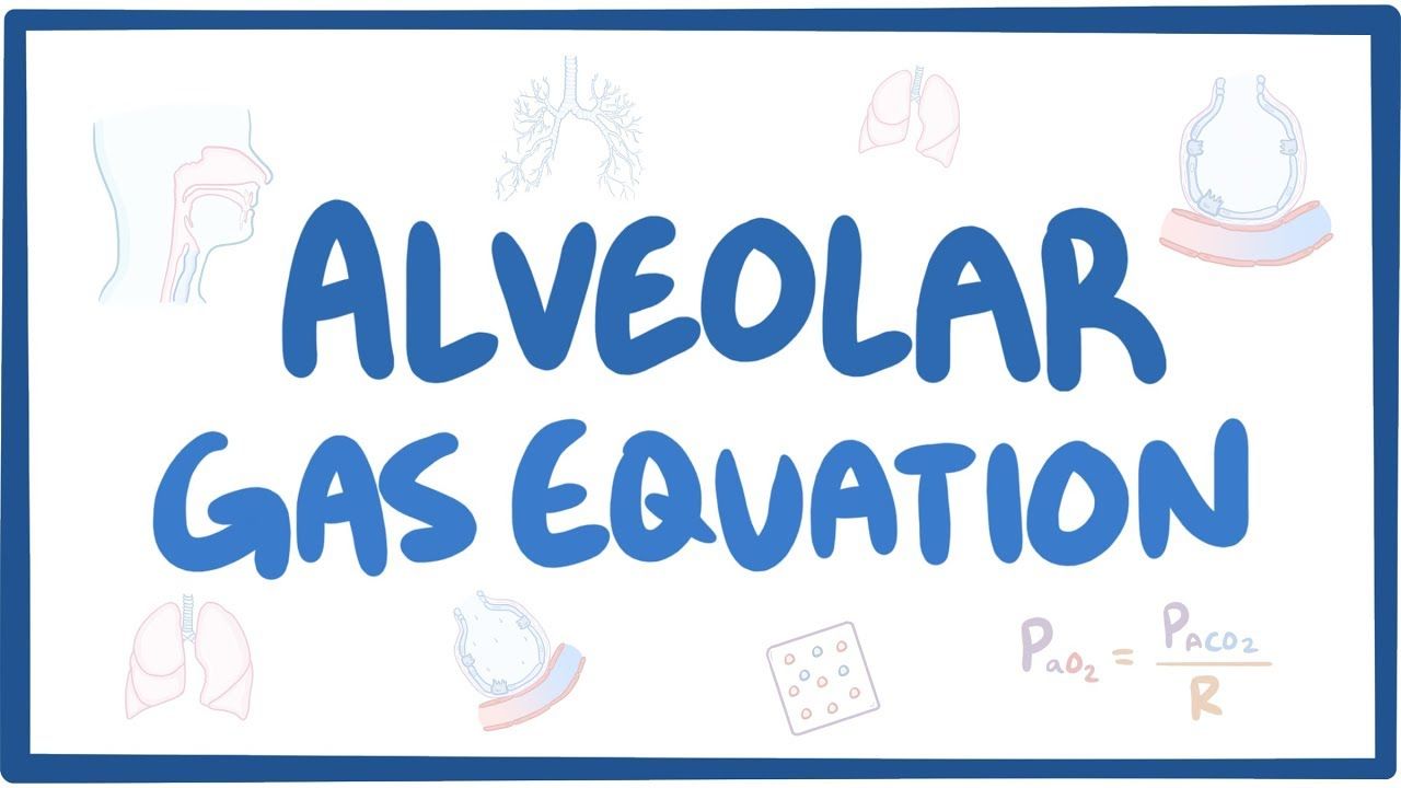 Alveolar Gas Equation Alveolar Gas Equation: Video, Causes, & Meaning