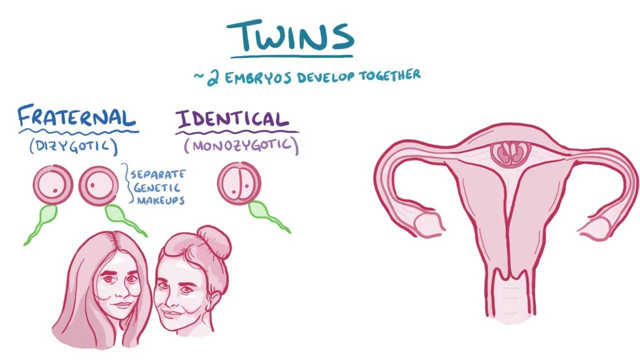 Video Development Of Twins Video Development Of Twins