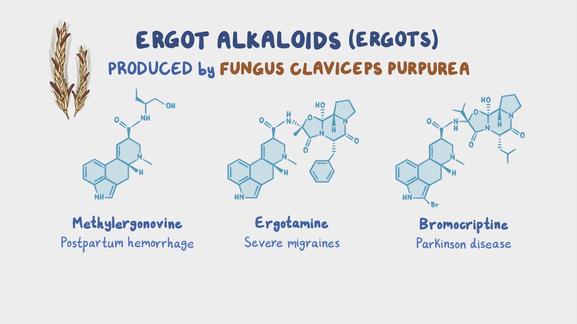 Video: Ergot alkaloids: Nursing pharmacology | Osmosis