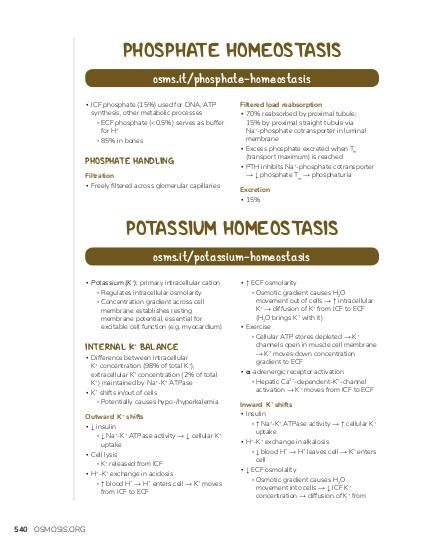 Potassium Homeostasis Osmosis